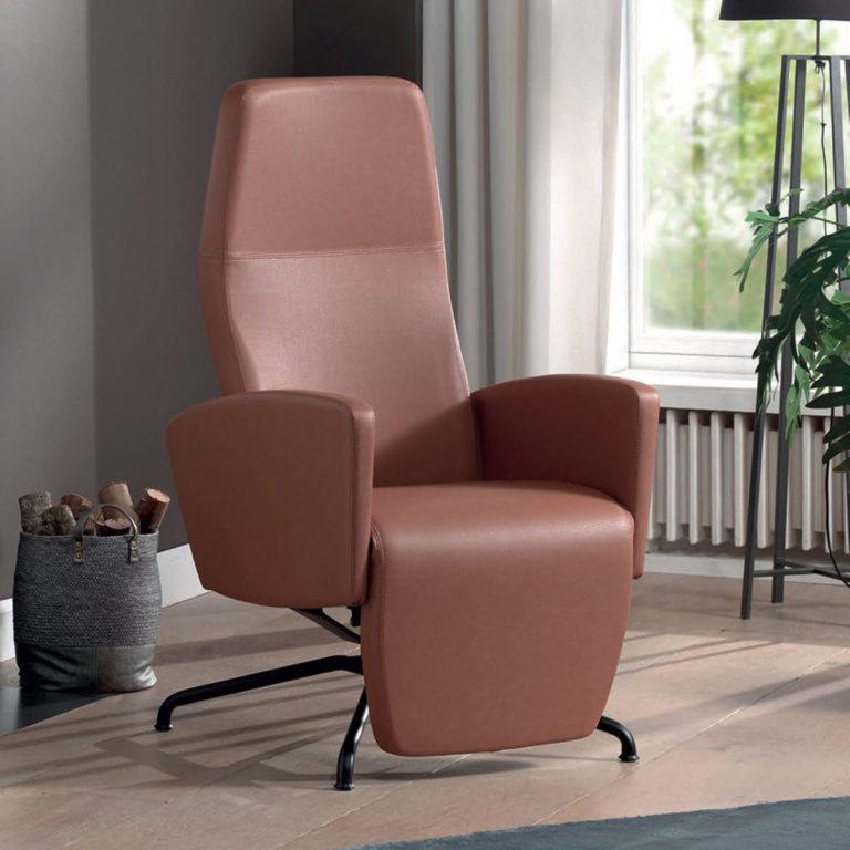 ZenSo E-lift - Carequip Pty Ltd : Carequip Pty Ltd